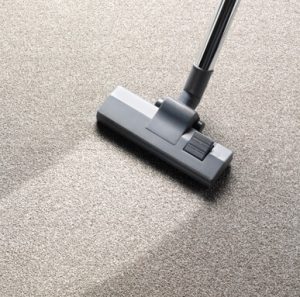 Your Guide to Carpet Types & Styles - Dolphin Carpet & Tile